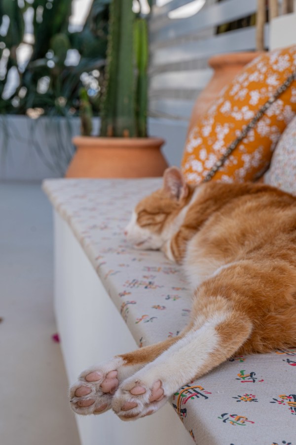 Visiter les Cyclades – une journée sur l’île d’Antiparos – 2 Vikings en ...